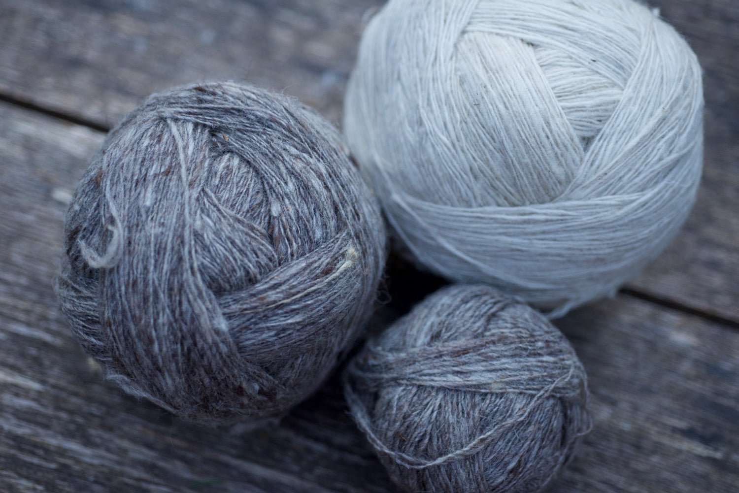 Wool (Gaddi) – Rani & Reine